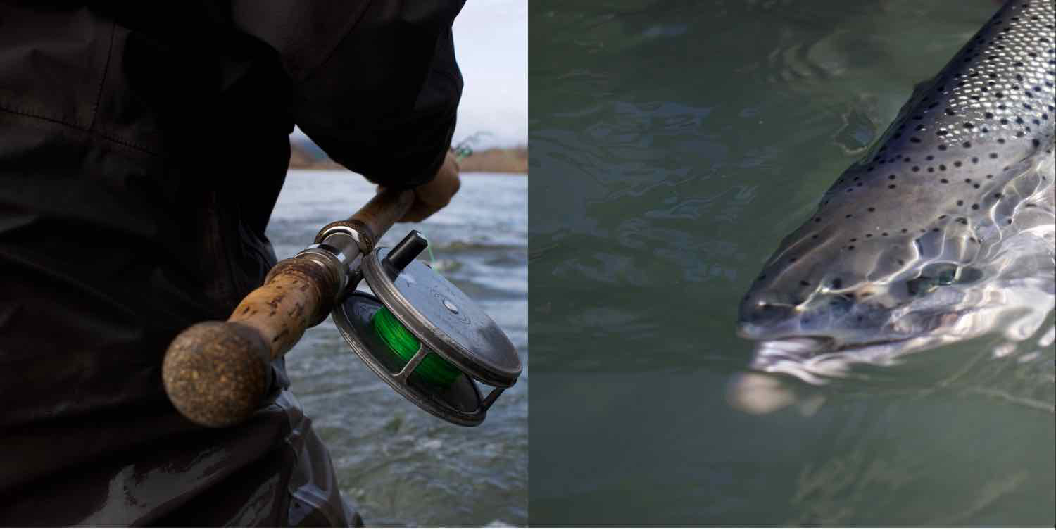 The Anatomy of a Grab | Epic Waters Angling